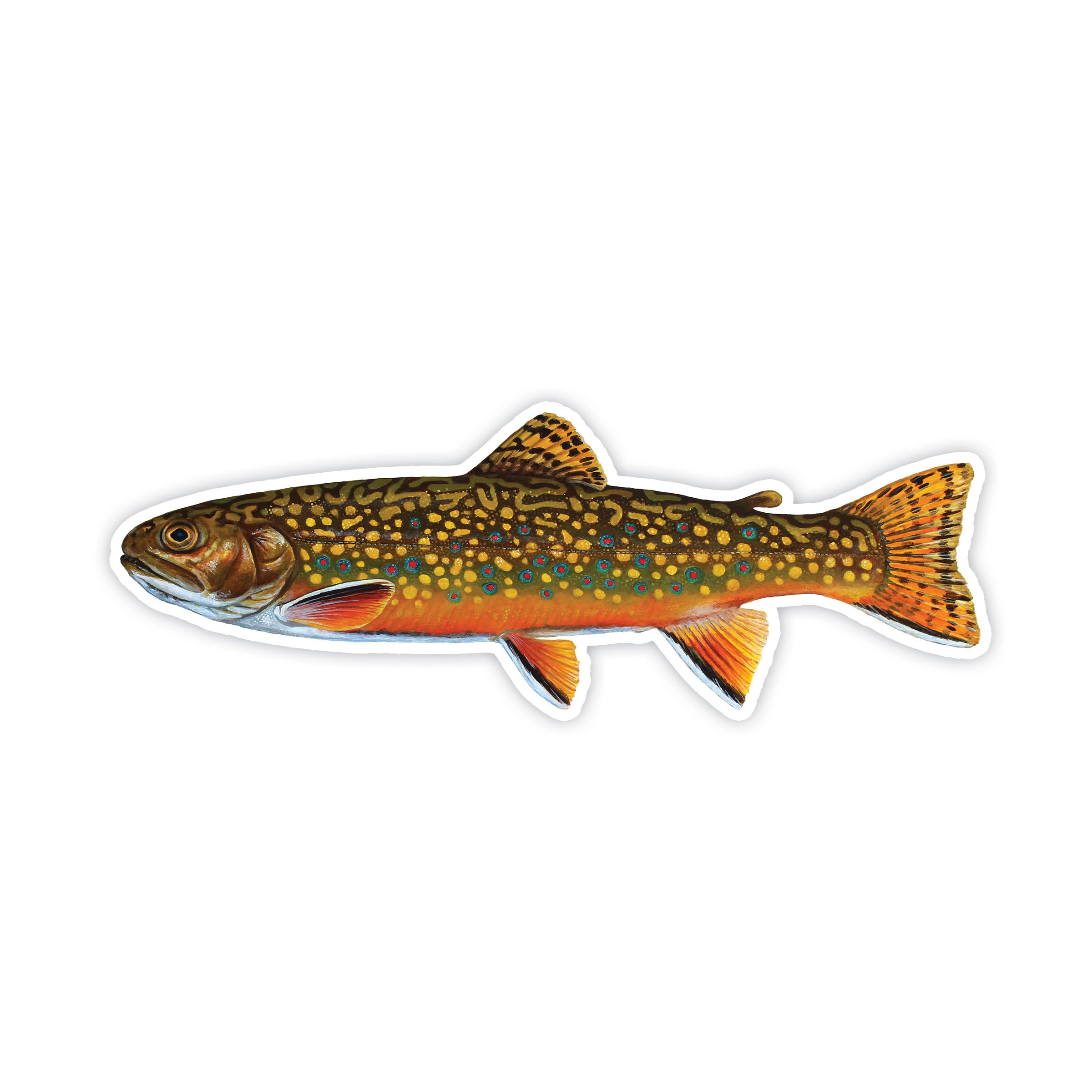 Brook Trout Sticker – Chasin’ Tides Tackle Shop