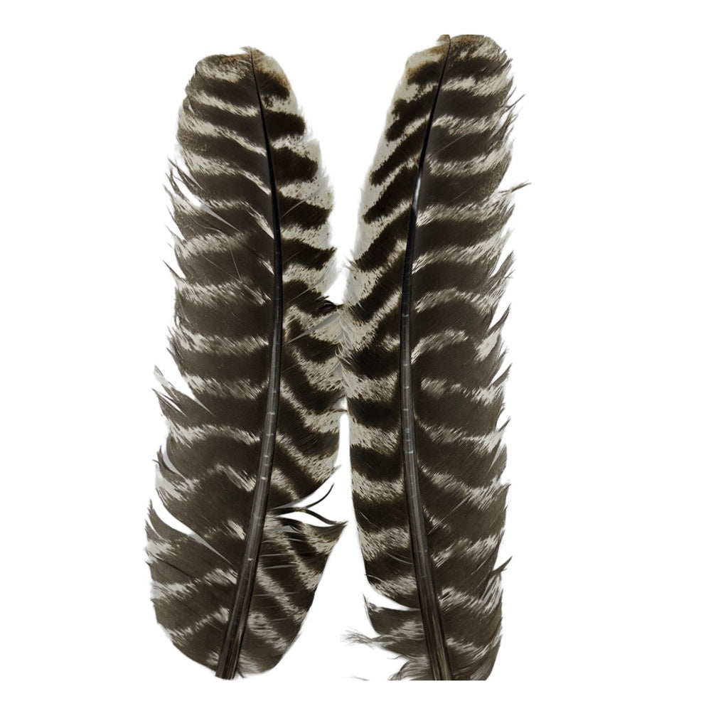 OZARK TURKEY QUILLS – Chasin’ Tides Tackle Shop